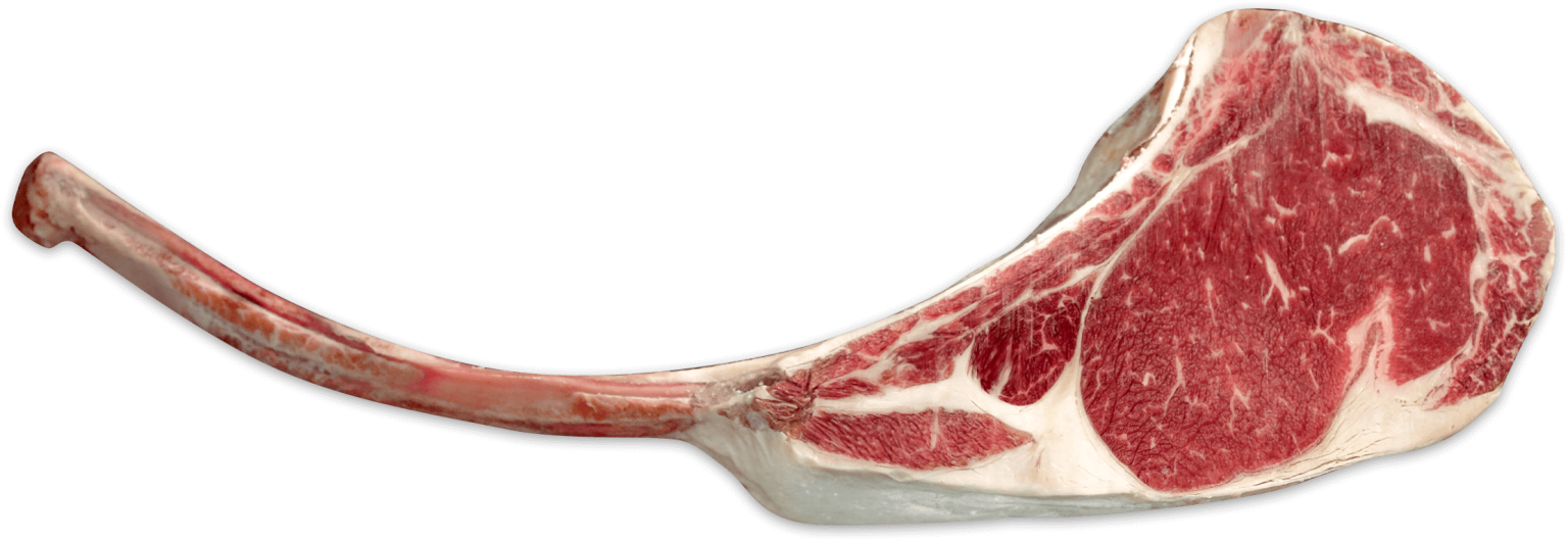Tomahawk - CAFISON